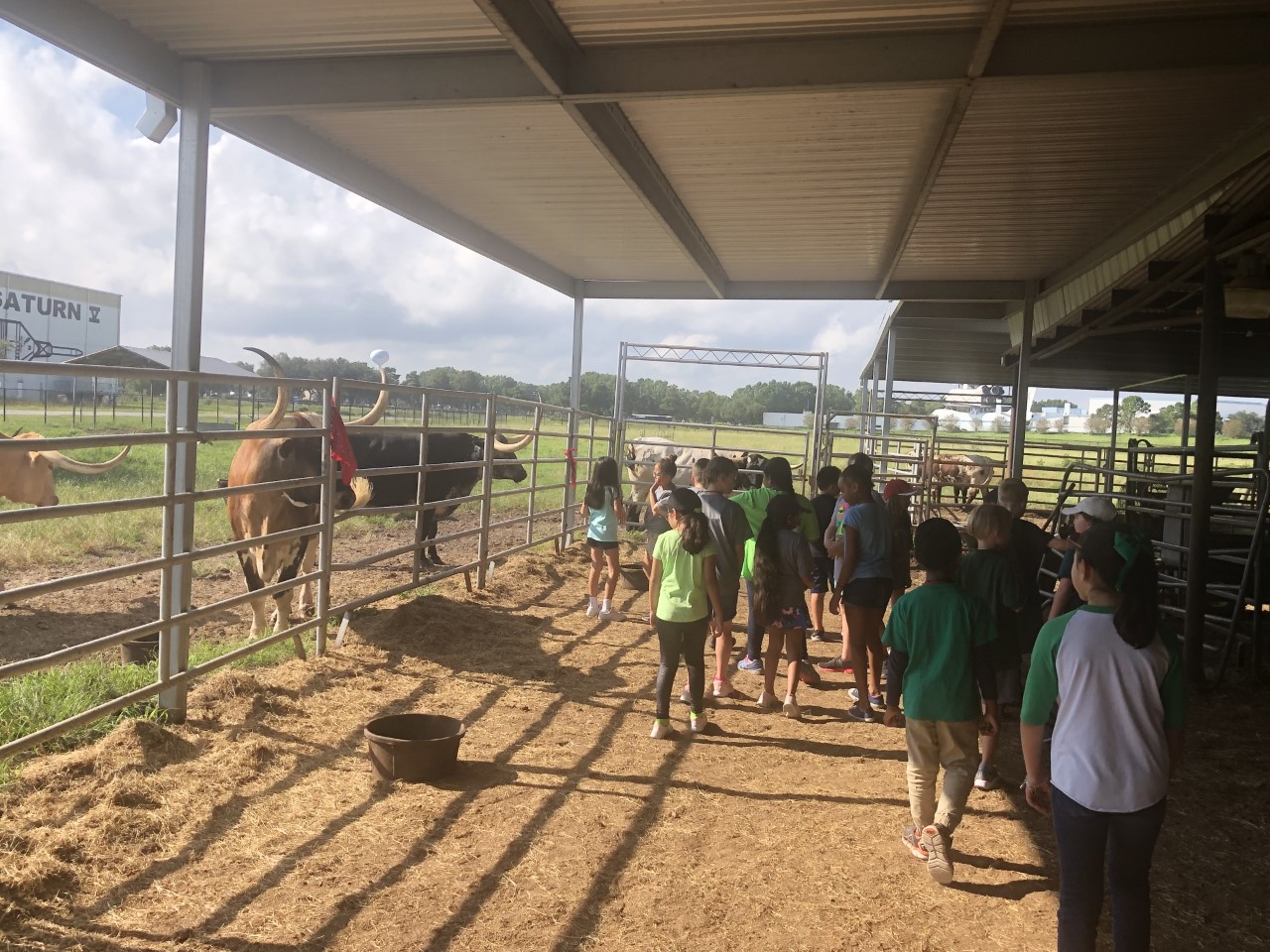 Field Trips and Tours Through The Longhorn Project