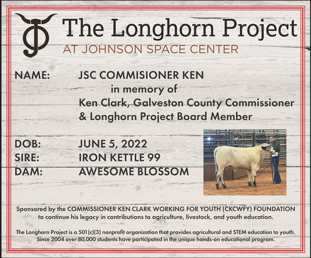 Show Team and Longhorns - The Longhorn Project