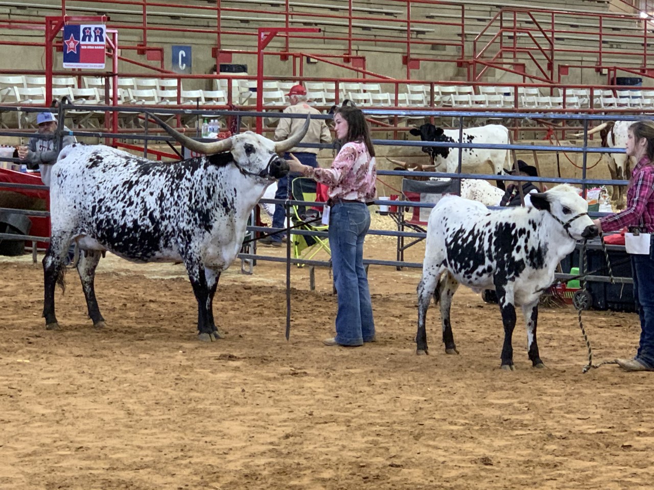 Show Team and Longhorns - The Longhorn Project