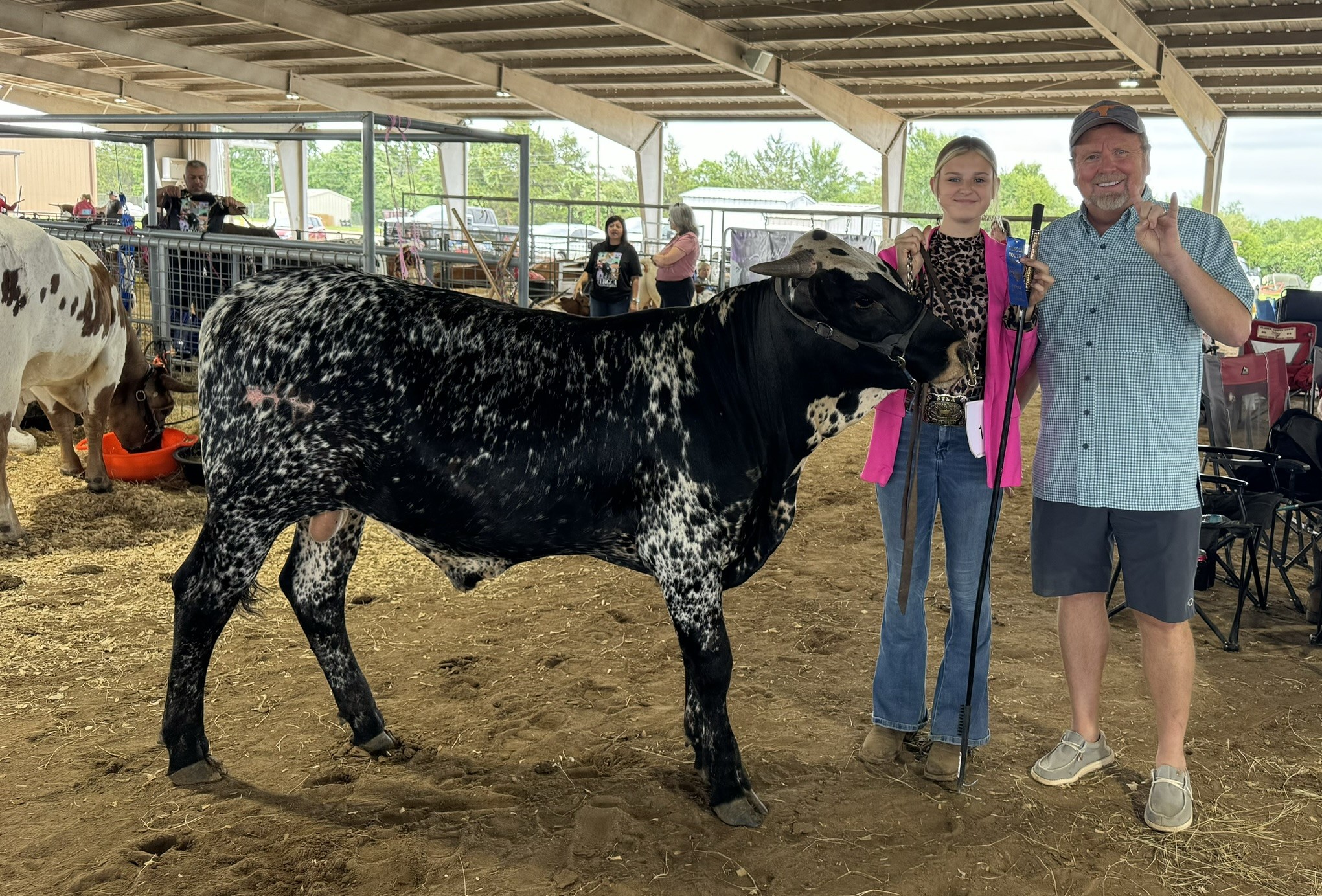 Show Team and Longhorns - The Longhorn Project